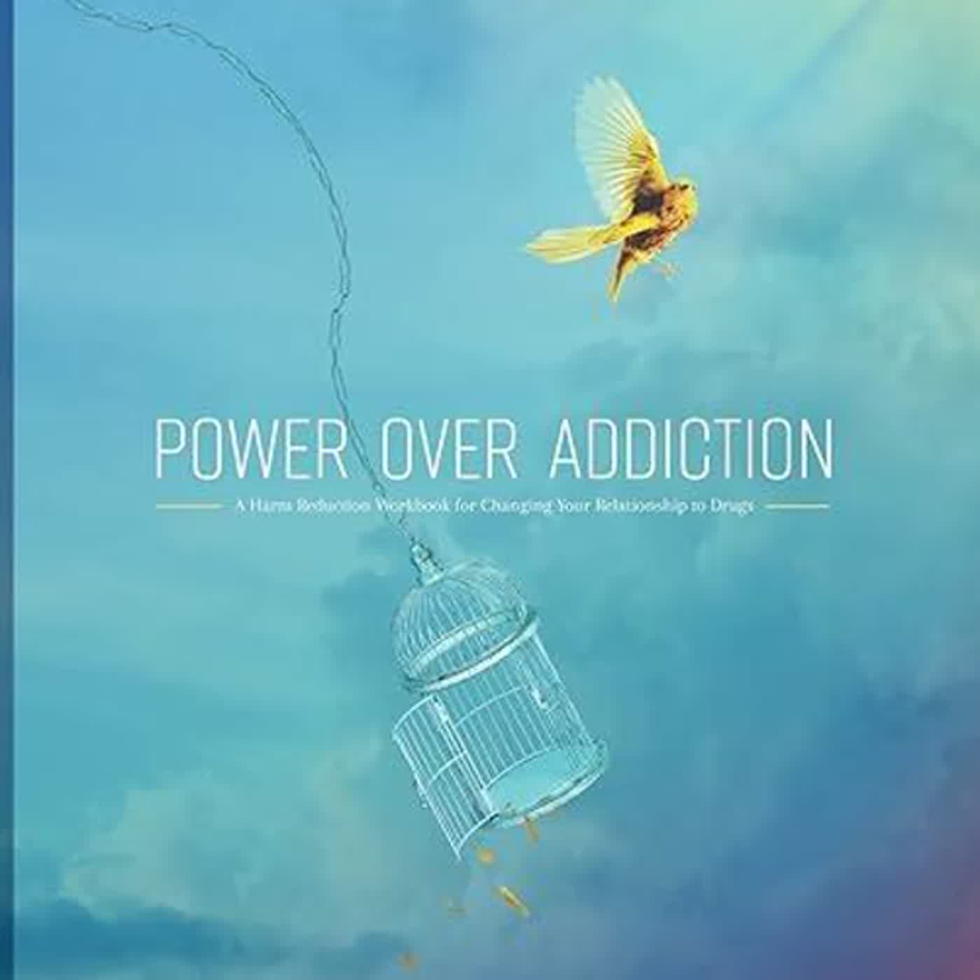 [PDF] ️DOWNLOAD⚡️ Power Over Addiction: A Harm Reduction Workbook for ...